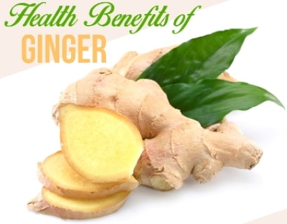 Health Benefits & Medicinal Uses Of Ginger Powder, Root Extract, Herbal ...