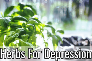 3 Powerful Herbs For Treating Depression Naturally At Home & How To Use ...